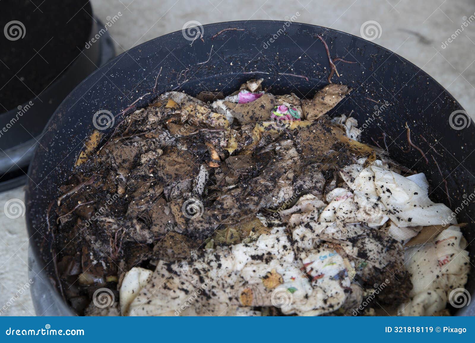 Interior of a Black Worm Composter Stock Image - Image of environmental ...