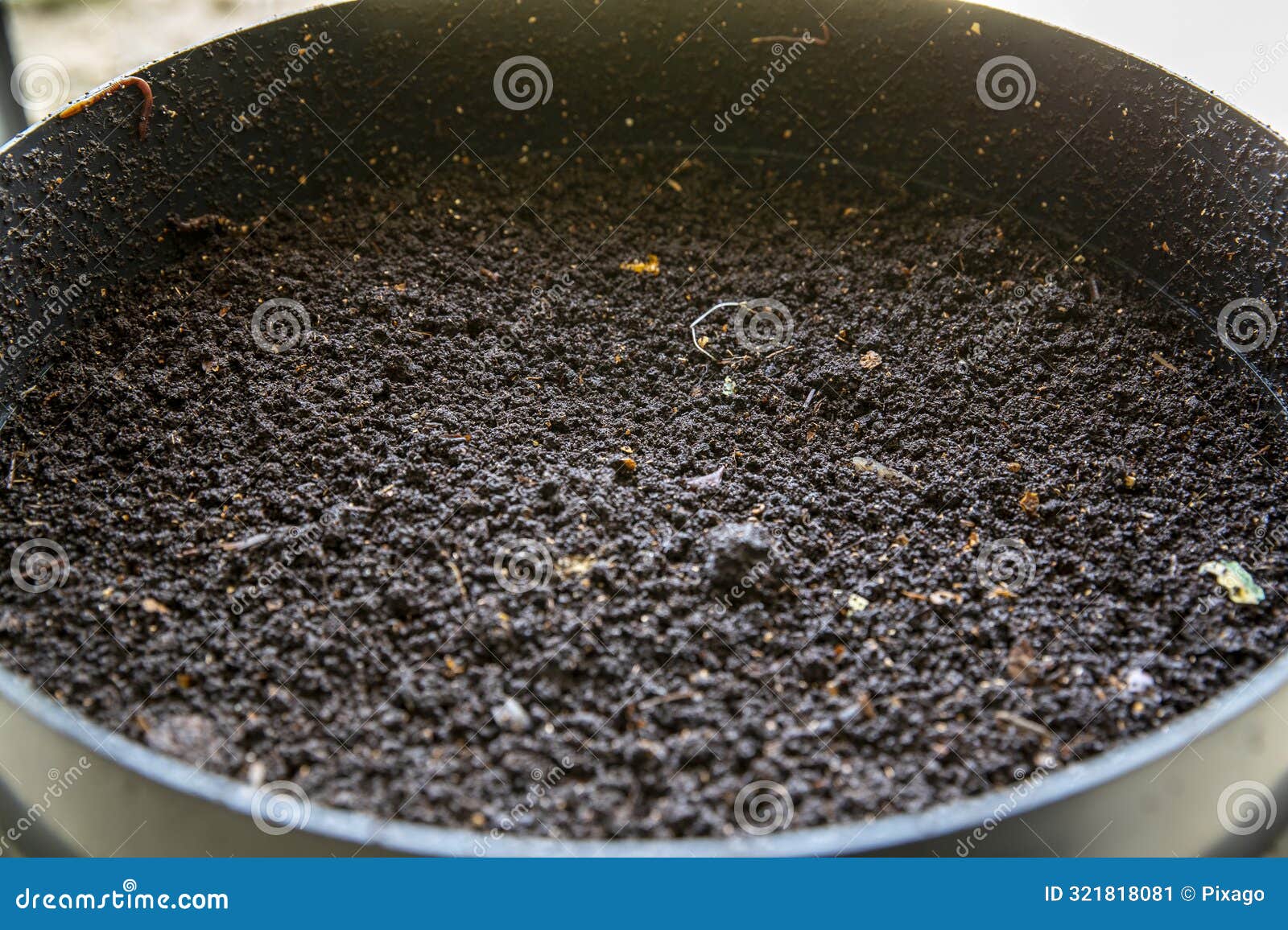 Interior of a Black Worm Composter Stock Image - Image of biodegradable ...