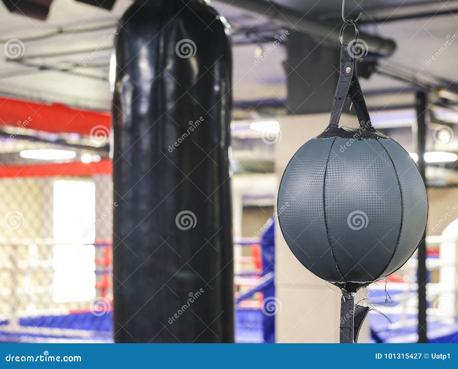 Boxing hall stock image. Image of glove, practice, punching - 101315427