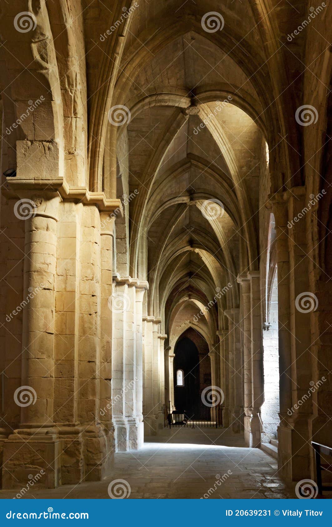 Interior Ceiling and Columns of Old Cathedral Stock Image - Image of ...