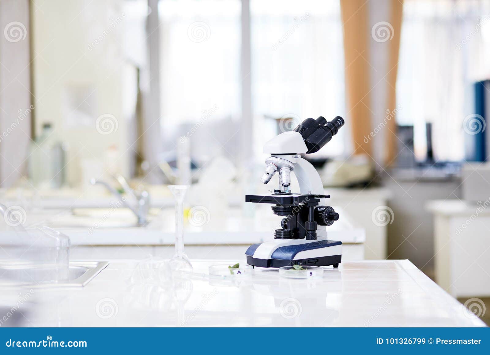 Interior of Chemistry Lab stock image. Image of school - 101326799