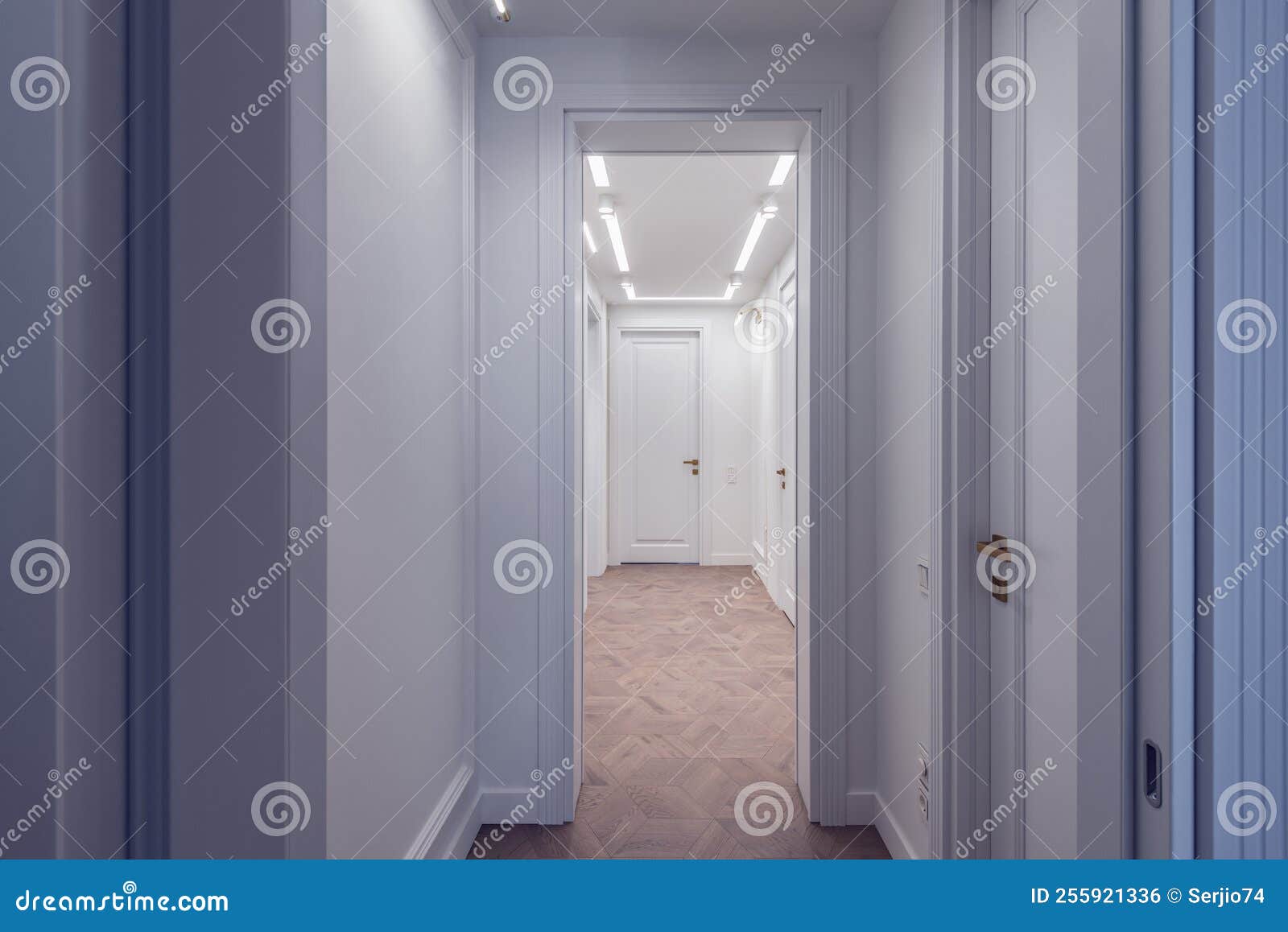 Interior of the Corridor in the Luxury Apartments Stock Photo - Image ...
