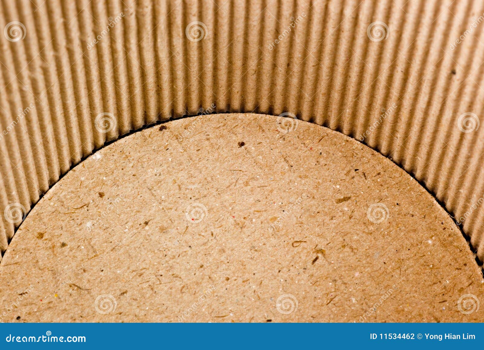 Interior of a Corrugated Cardboard Container Stock Photo - Image of ...
