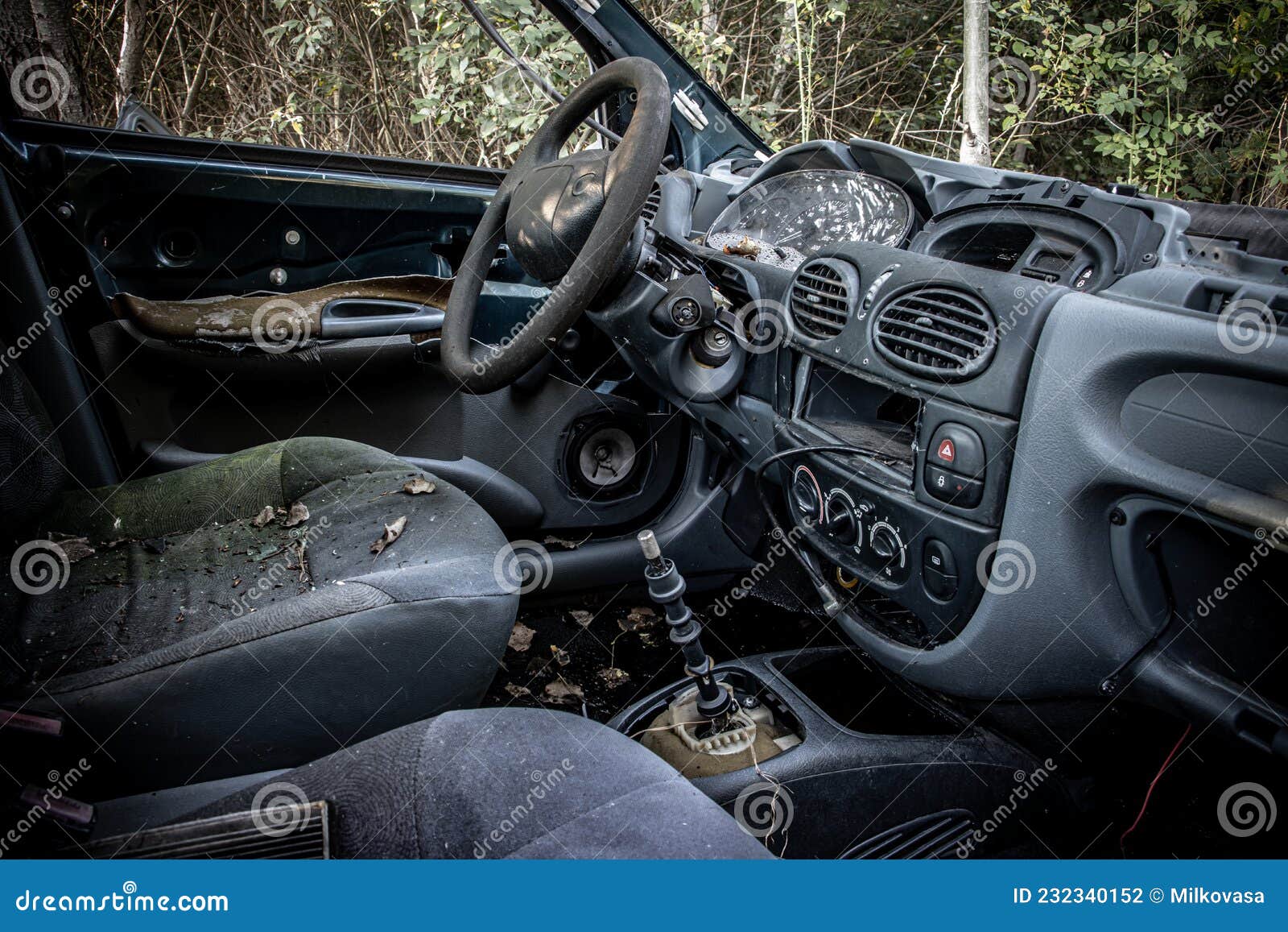 Interior of a Damaged Car Parked in Nature Stock Photo - Image of ...