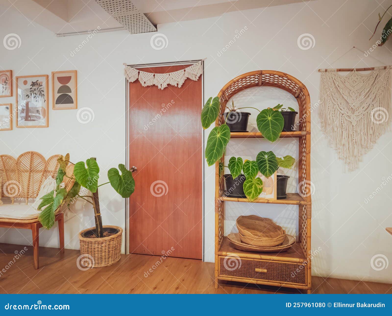 Interior De Boho Natural Con Plantas Foto de archivo - Imagen de ...