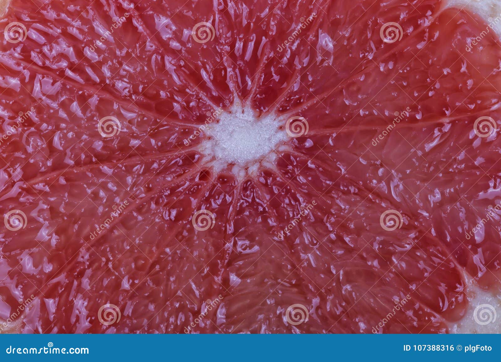 Interior De Un Fondo Del Pomelo Foto de archivo - Imagen de fruta ...