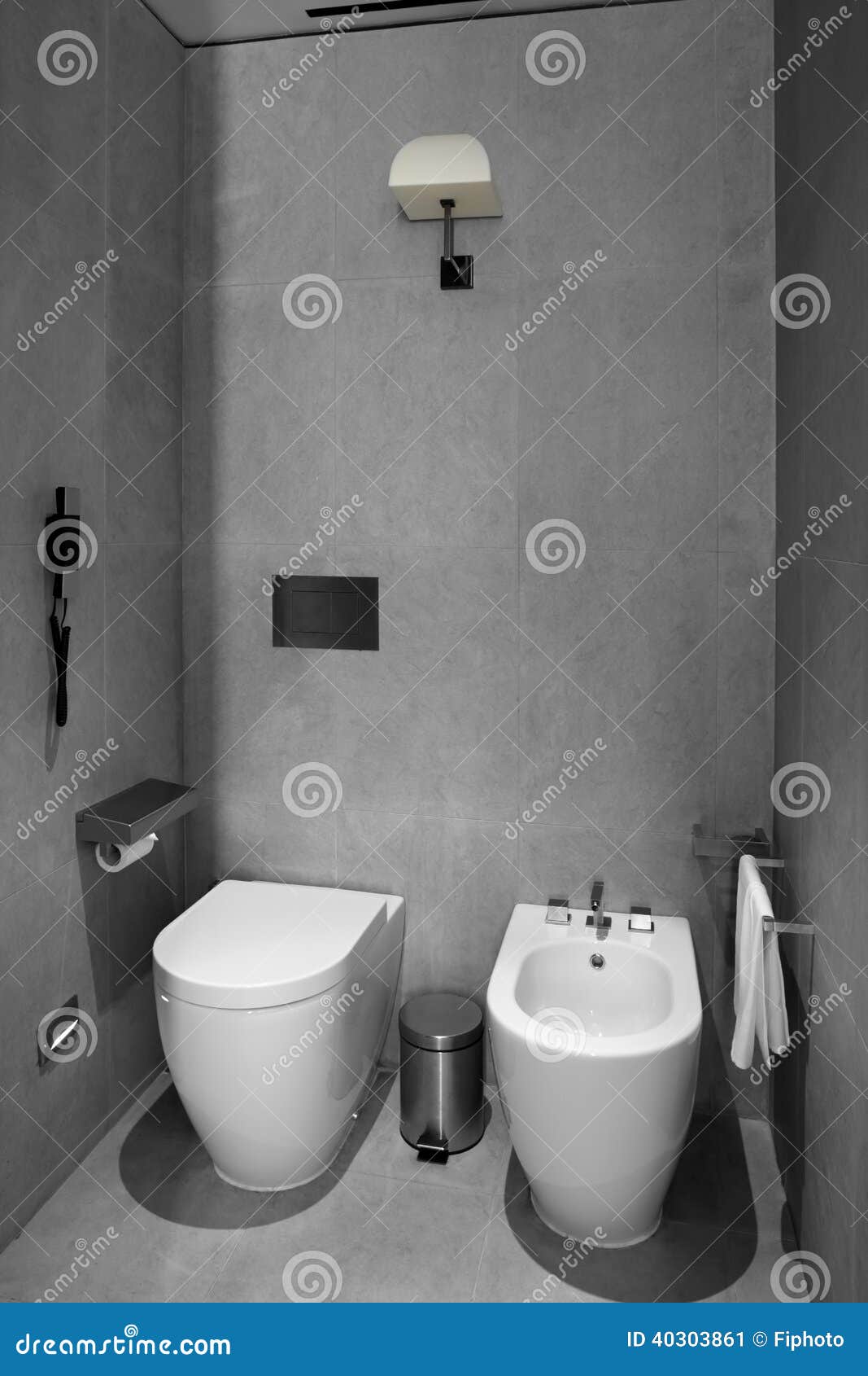 Interior Del Retrete Moderno En Estilo Europeo Imagen de archivo ...