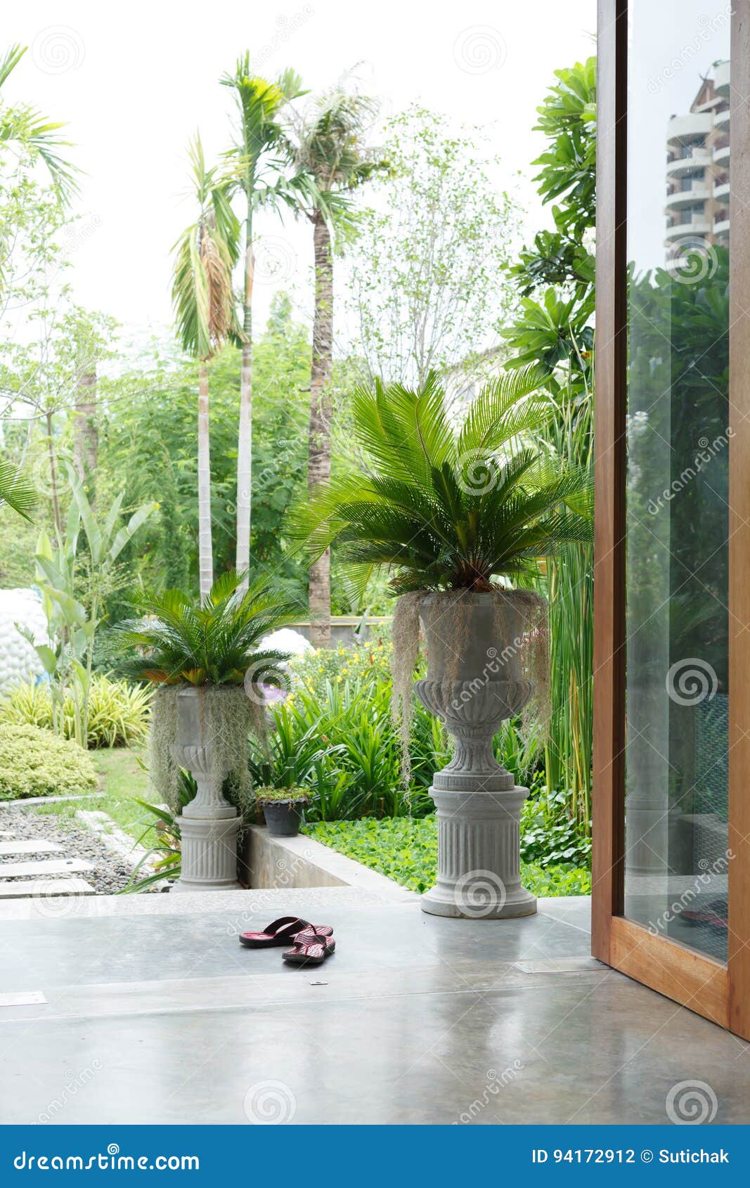 Interior Design Decoration with Tree Potted Plants Stock Photo - Image ...