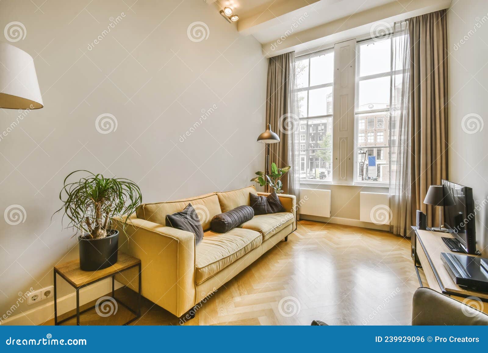 Clean living room stock photo. Image of decor, sofa - 239929096
