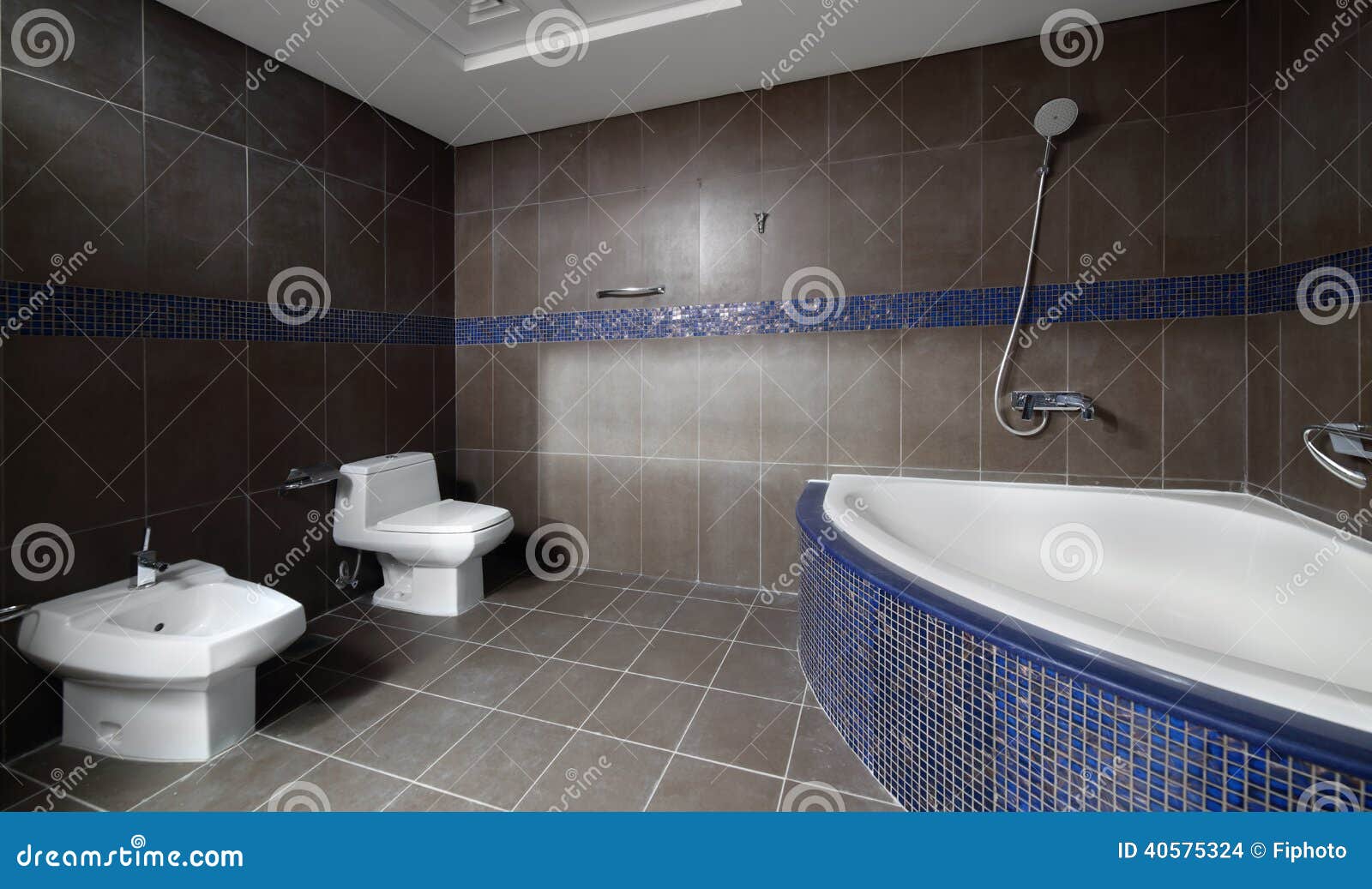 Interior Do Toalete Moderno No Estilo Europeu Foto de Stock - Imagem de ...