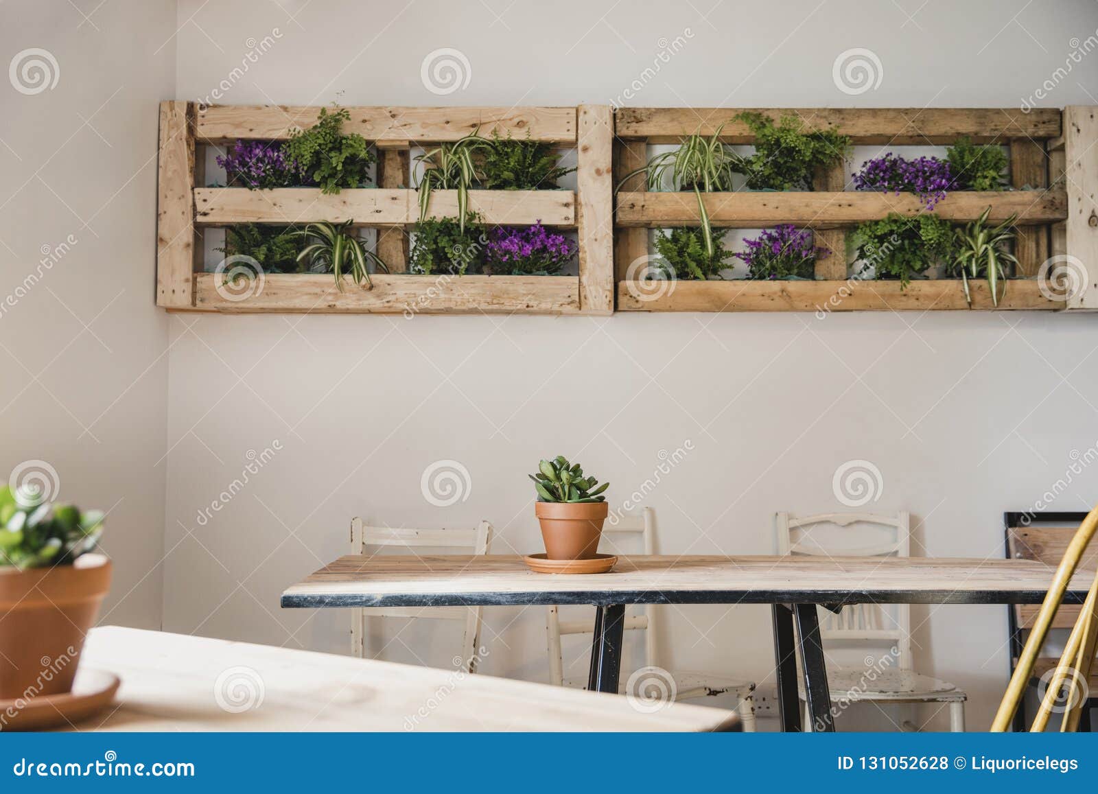 Interior of an Empty Coffee Shop Stock Photo - Image of business, drink ...