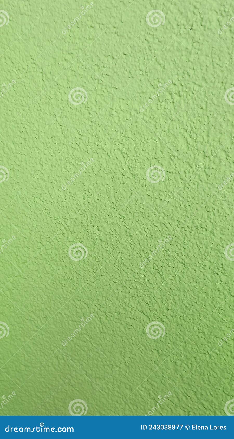 Interior, blank wall stock image. Image of nwall, green - 243038877