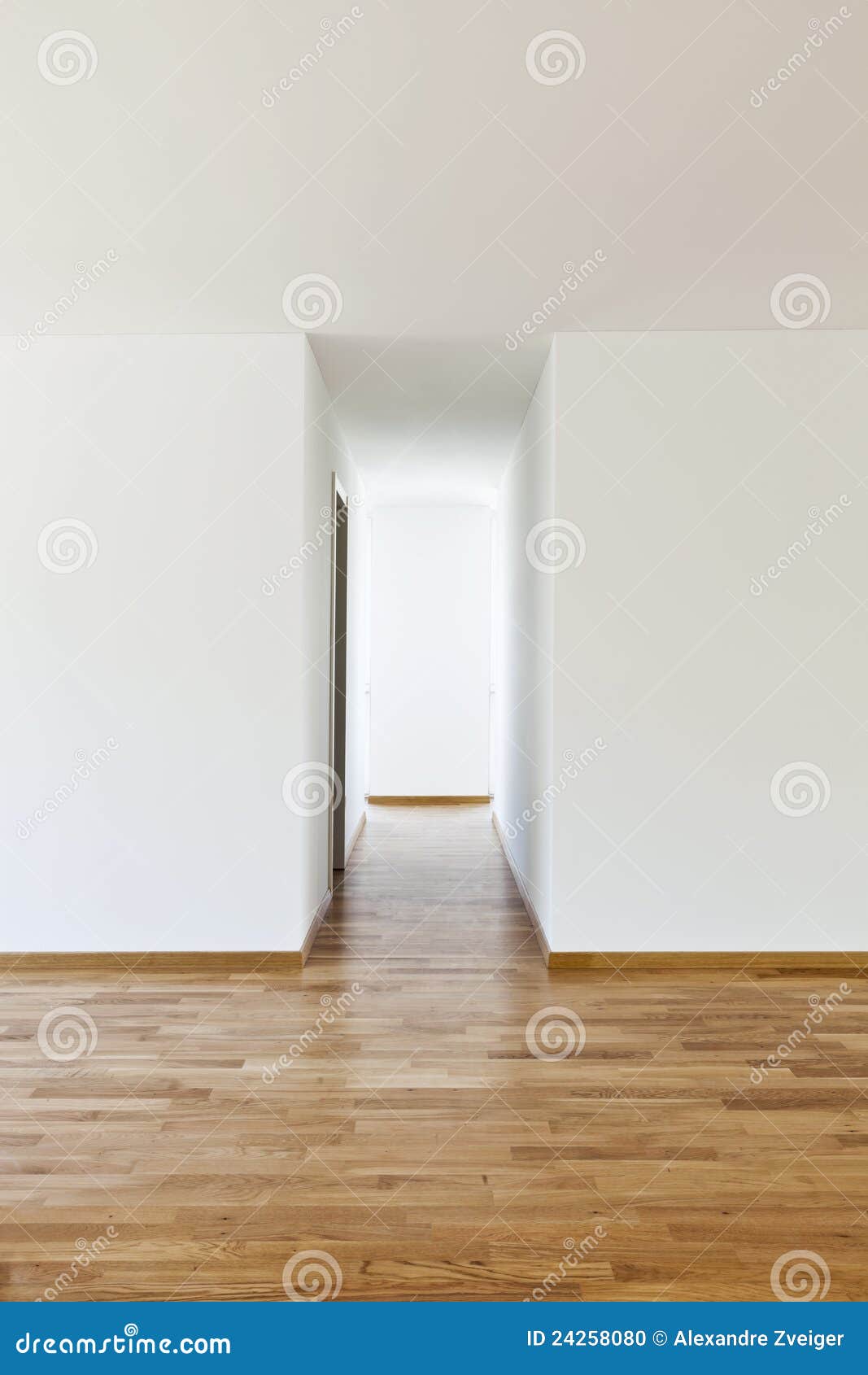 Interior, empty room stock photo. Image of door, interior - 24258080