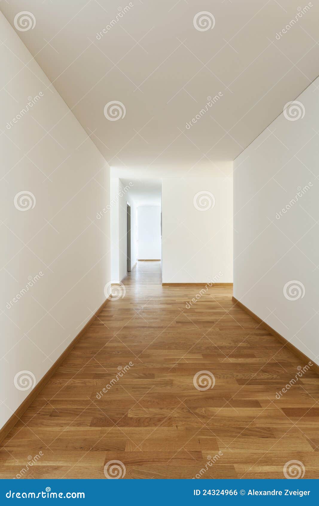 Interior, empty room stock photo. Image of floor, space - 24324966