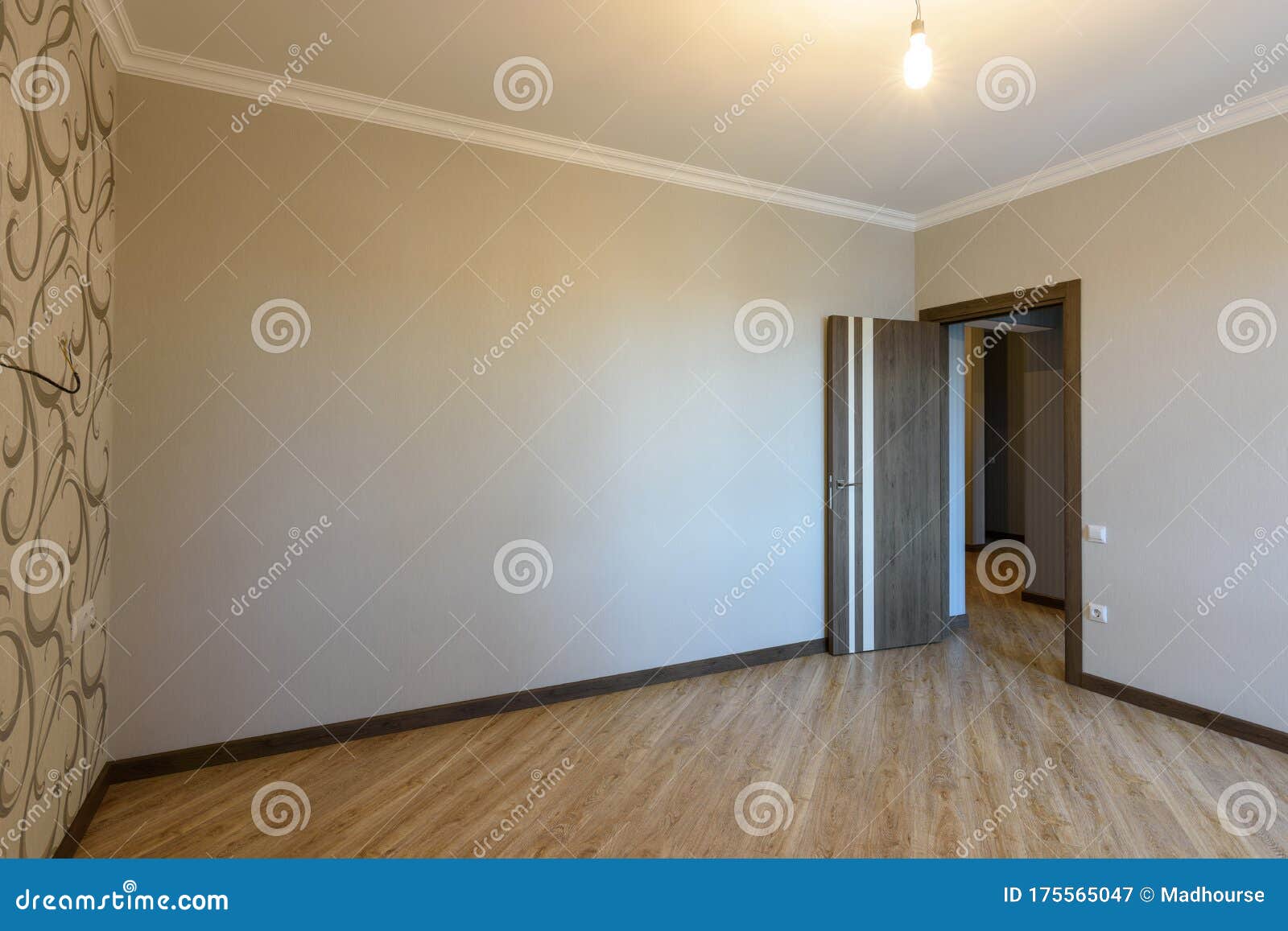 The Interior of the Empty Room, the View of the Front Door Stock Image ...