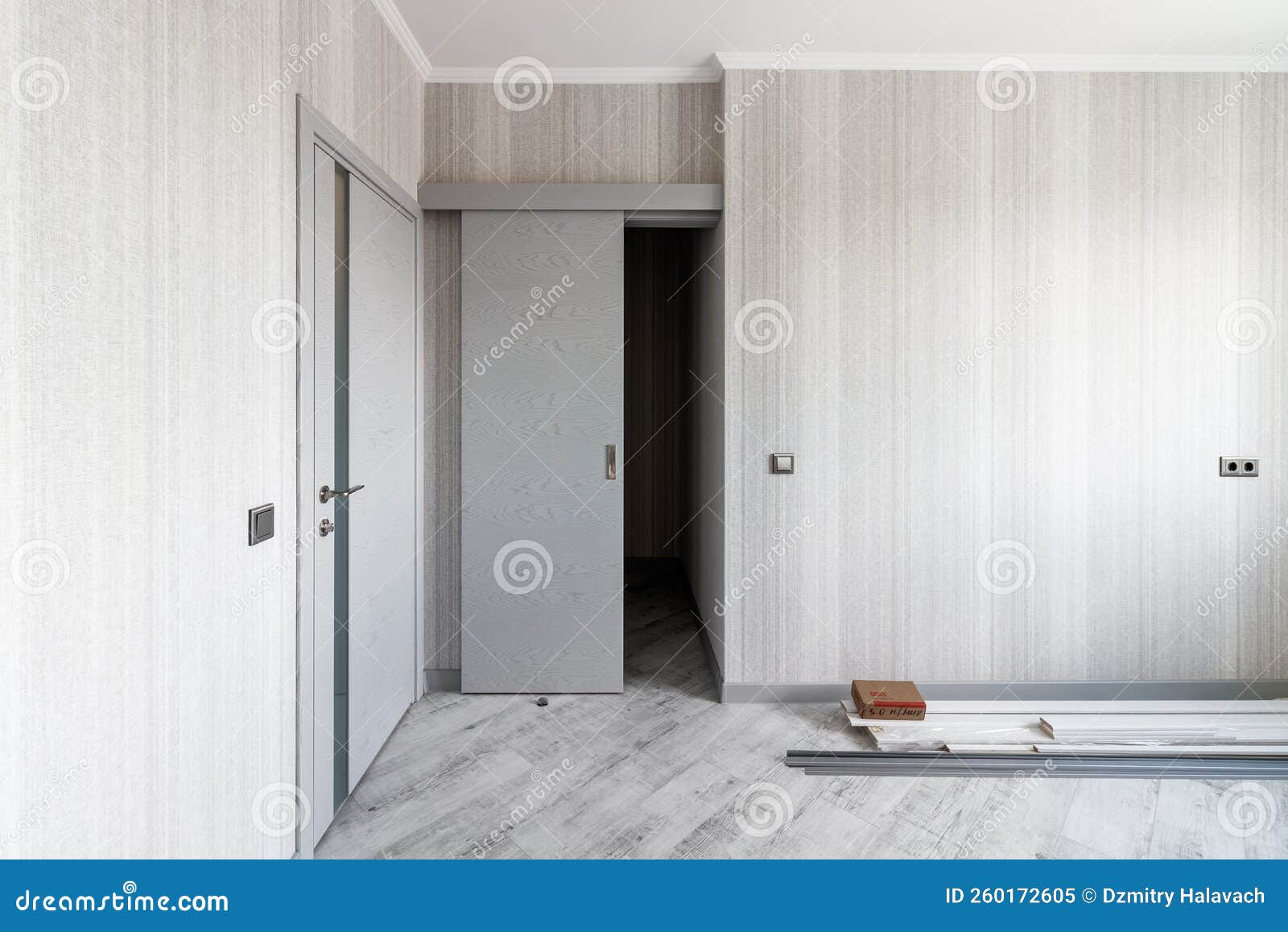 Interior and Entrance Doors in the New Apartment Stock Image - Image of ...