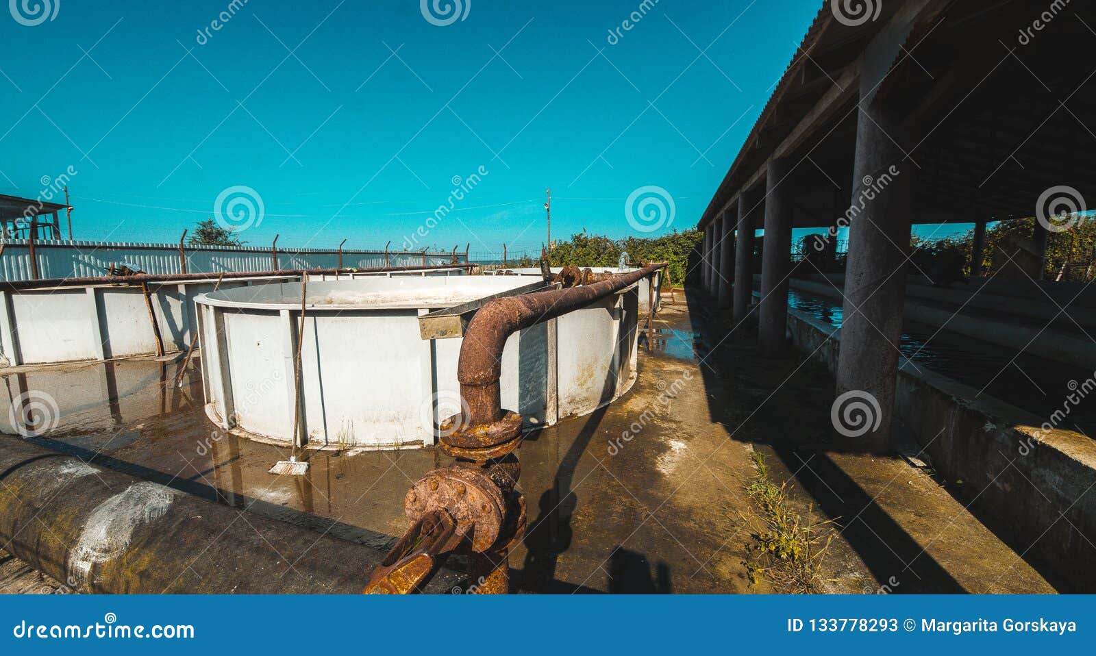Interior of a Fish Processing Factory. Female Workers Packing Filleted ...