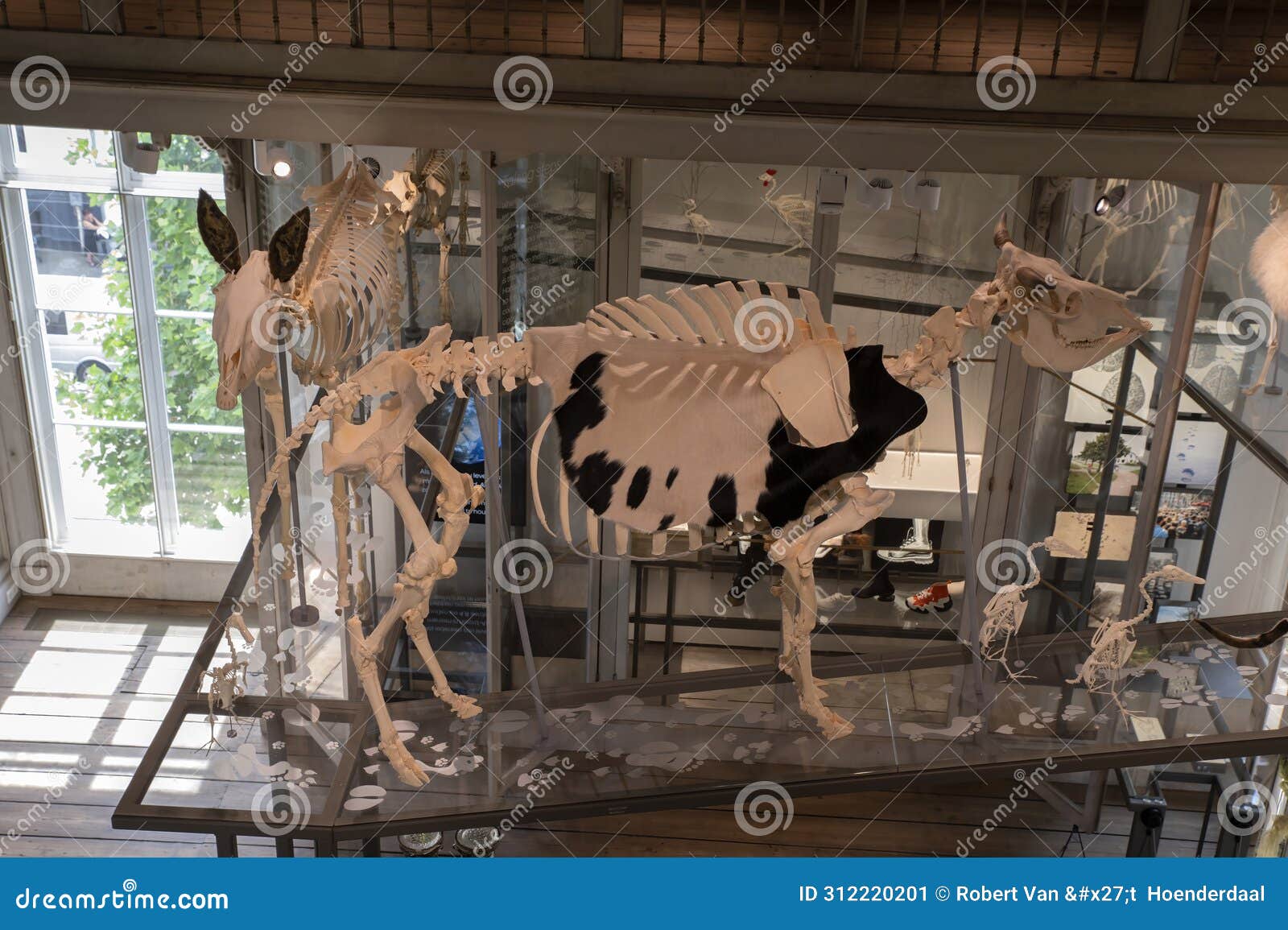 Interior at the Groote Museum at Amsterdam the Netherlands 21-6-2022 ...
