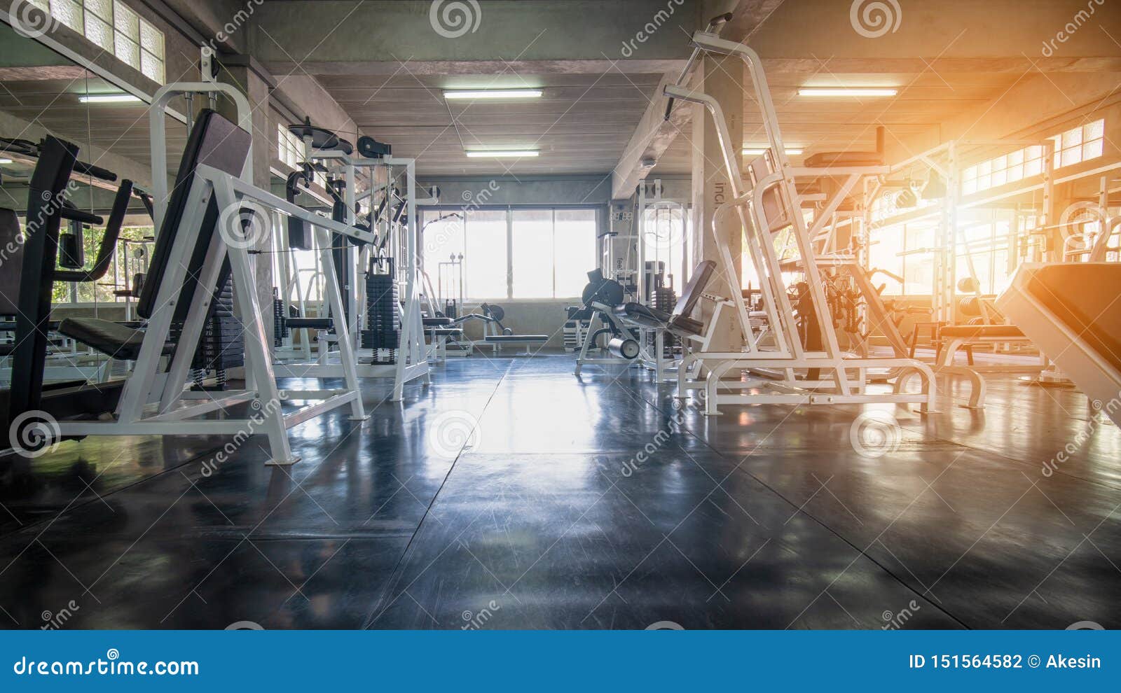 Interior of gym stock photo. Image of bodybuilding, emptiness - 151564582