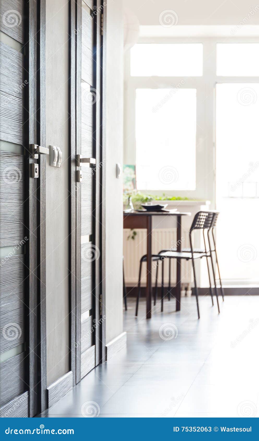Interior of the Hall in Modern Flat. Stock Image - Image of modern ...