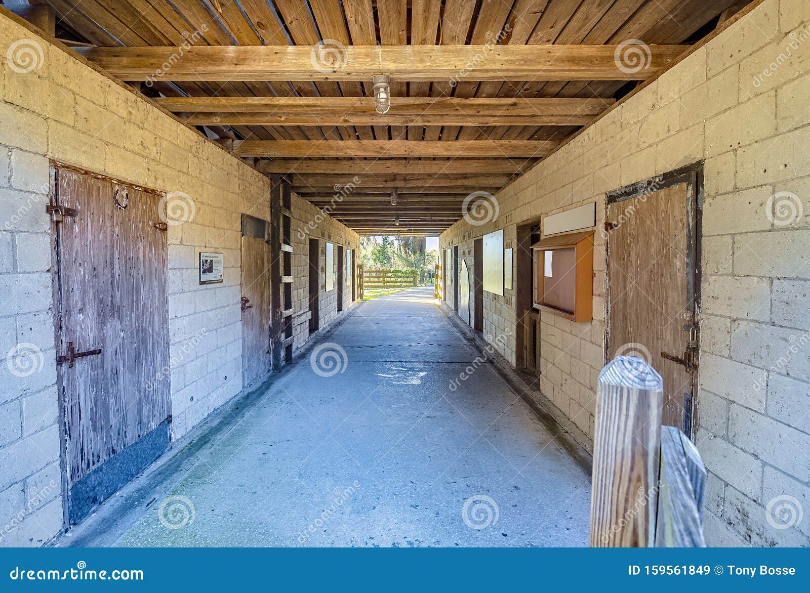 Horse Barn, Stable Interior Stock Image - Image of farm, horse: 159561849