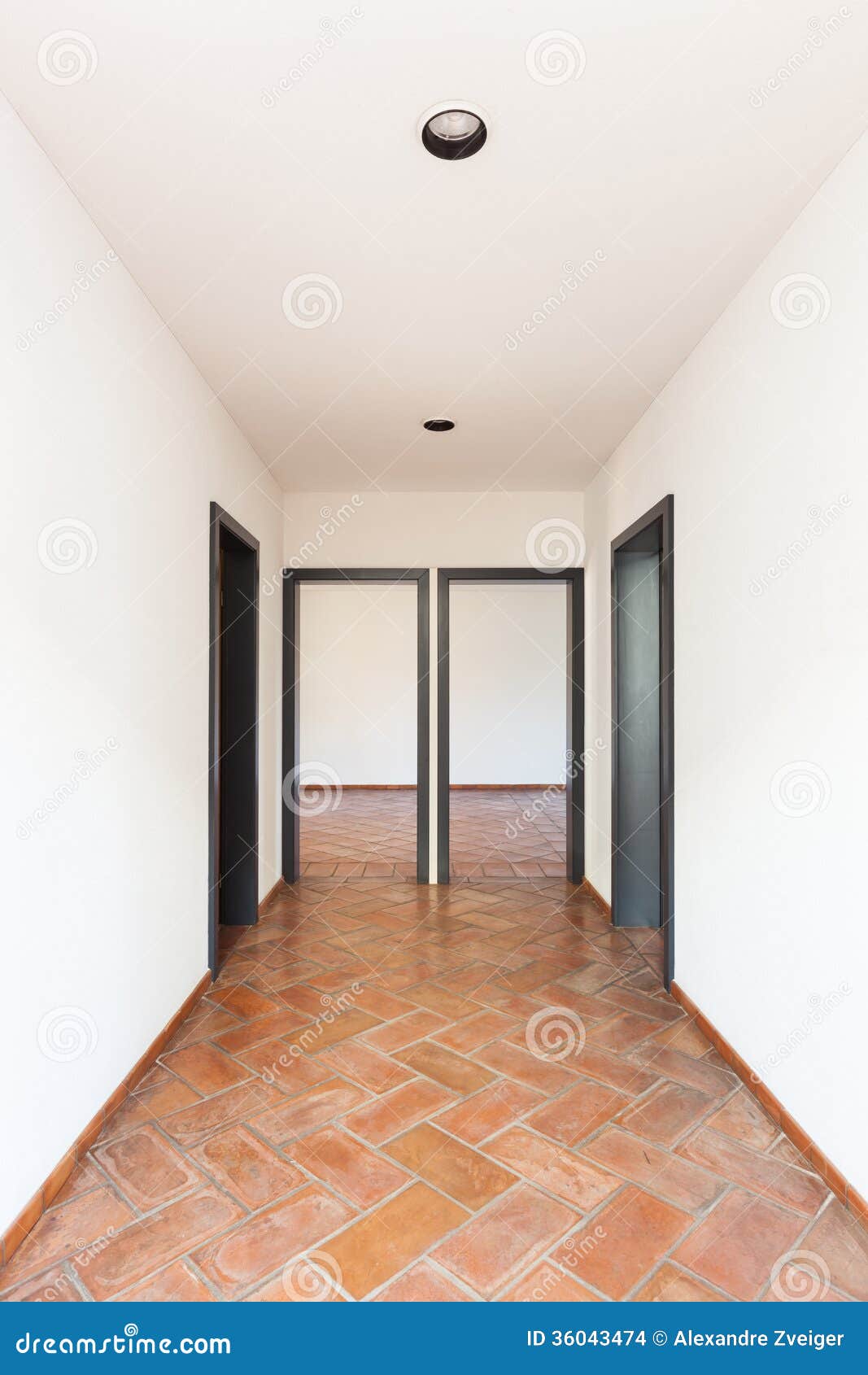Interior house, corridor stock photo. Image of sparse - 36043474