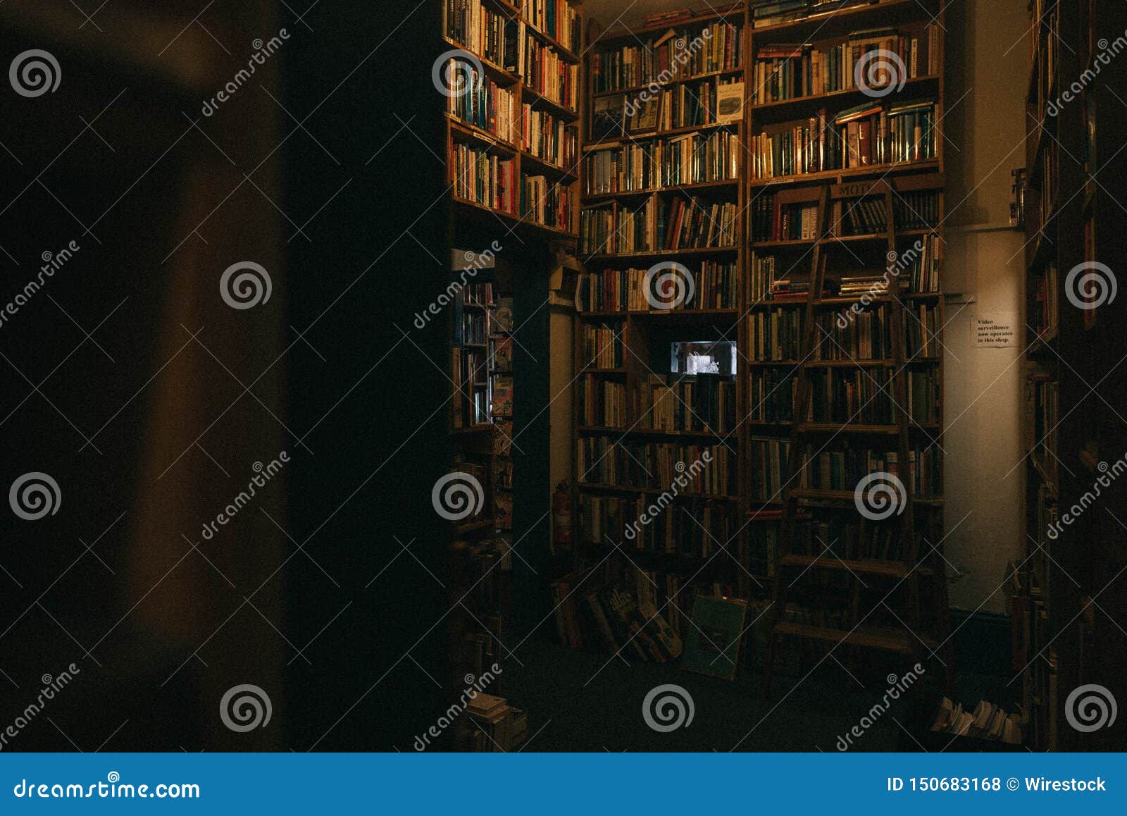 Interior of a Large Library with High Bookshelves Stock Photo - Image ...