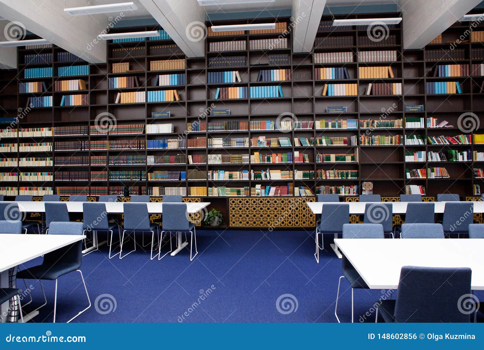 The Interior of the Library. Blue and Brown Colors. Bookcases with ...