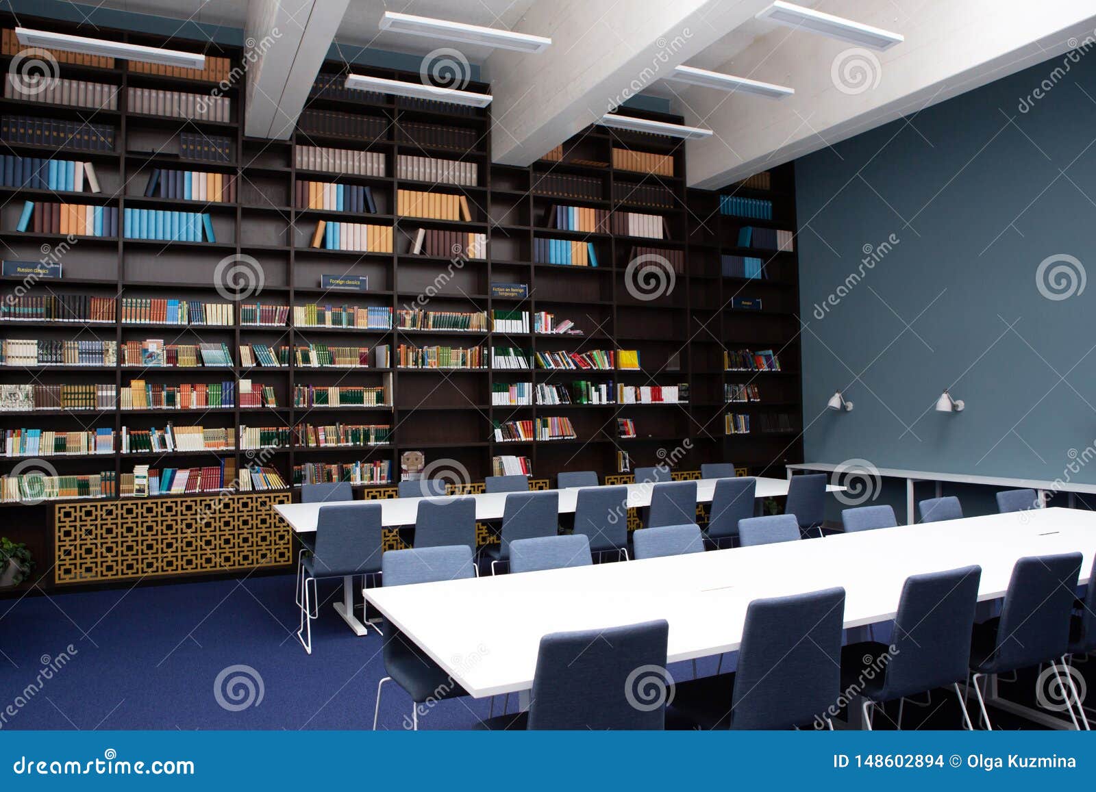 The Interior of the Library, Blue and Brown Colors. Bookcases with ...