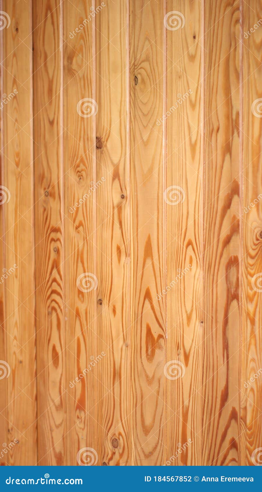 Light Lacquered Larch Texture Background Stock Photo - Image of varnish ...