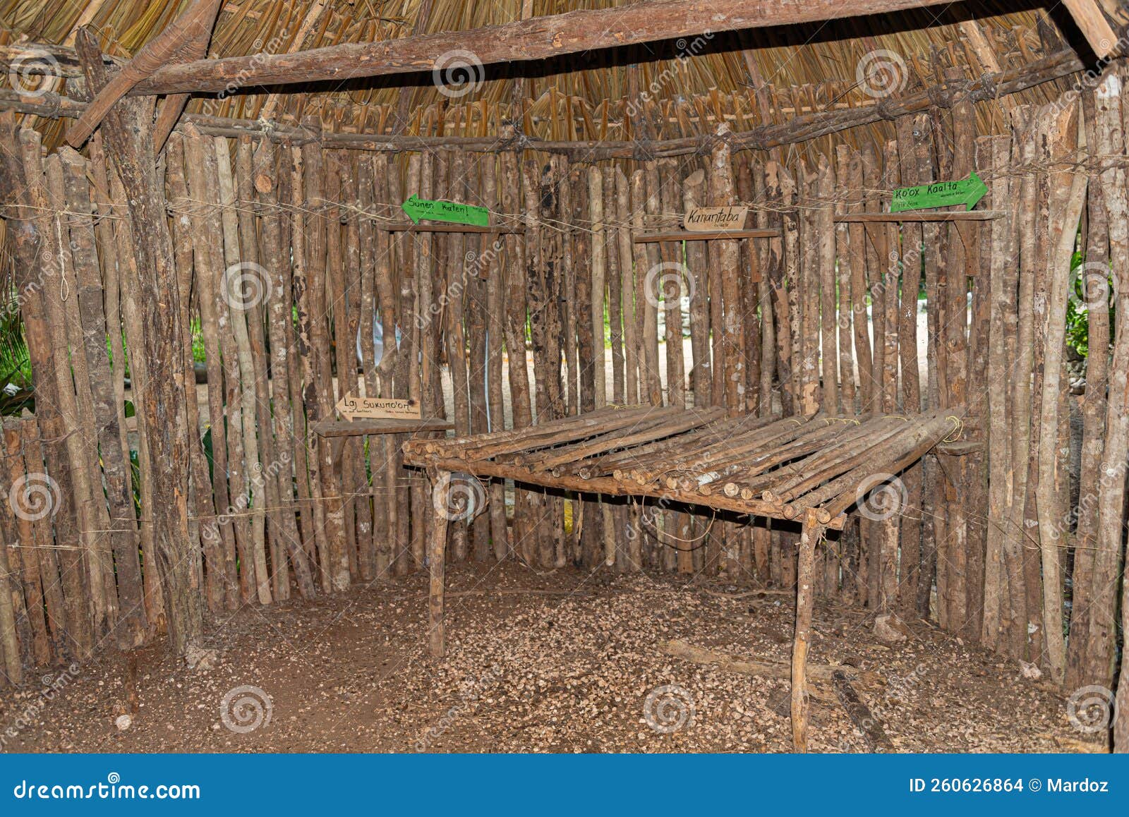 Mayan Palapa Ceiling Roof With Palm Tree Stock Photography ...