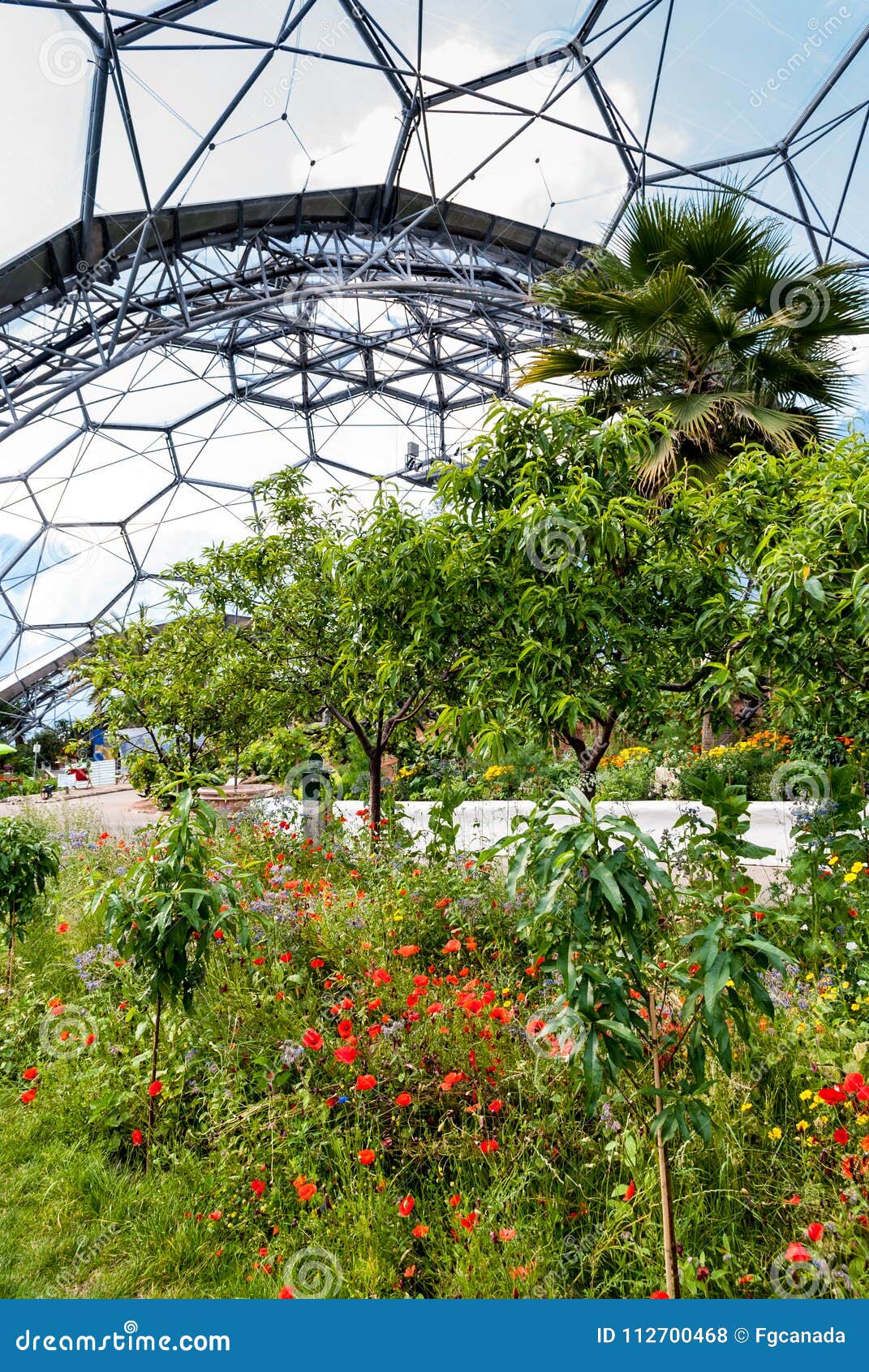 Interior of Mediterranean Biome, Eden Project, Vertical. Editorial ...
