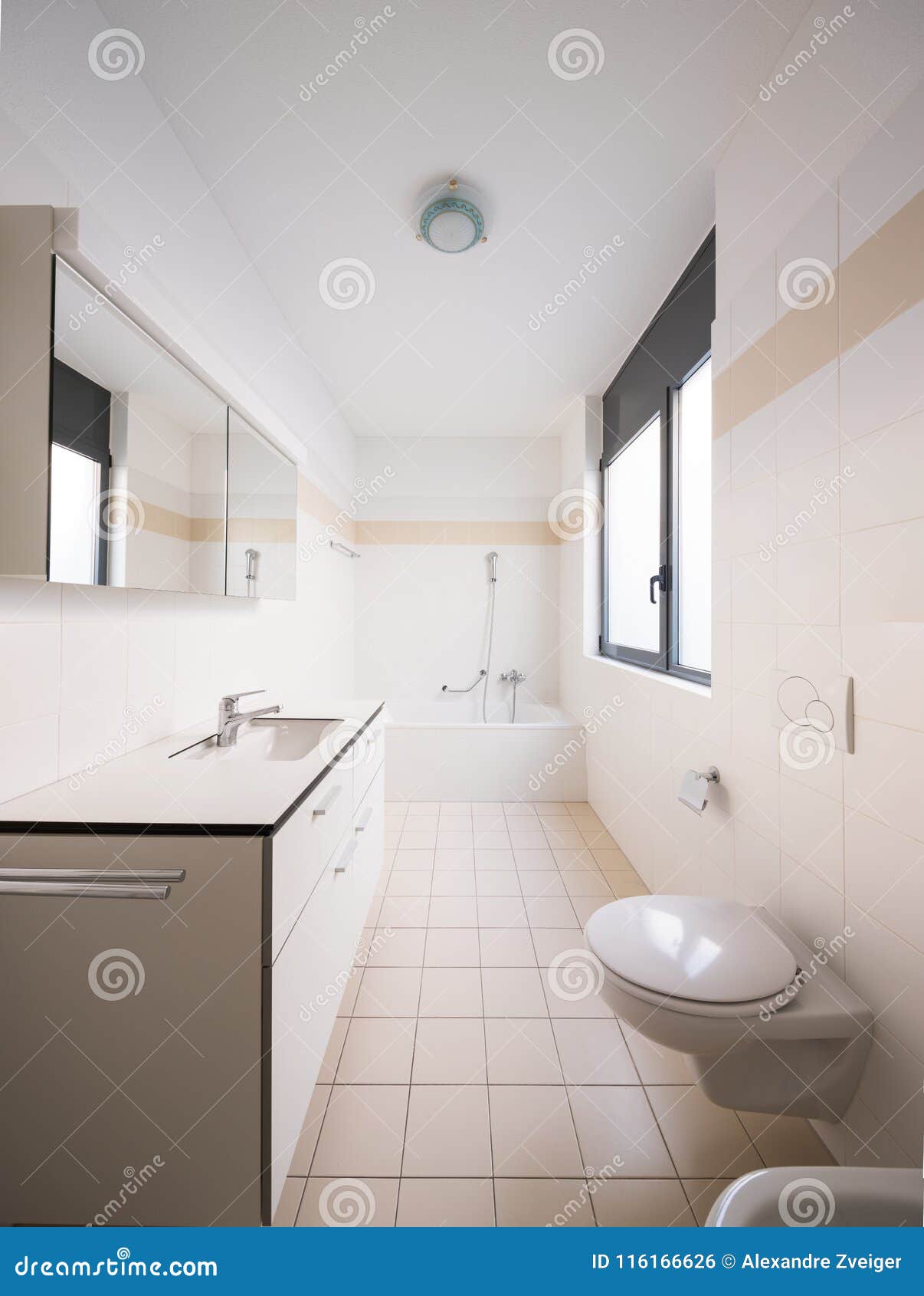 Interior of Modern Apartment, Empty Bathroom Stock Photo - Image of contemporary, bathtub: 116166626