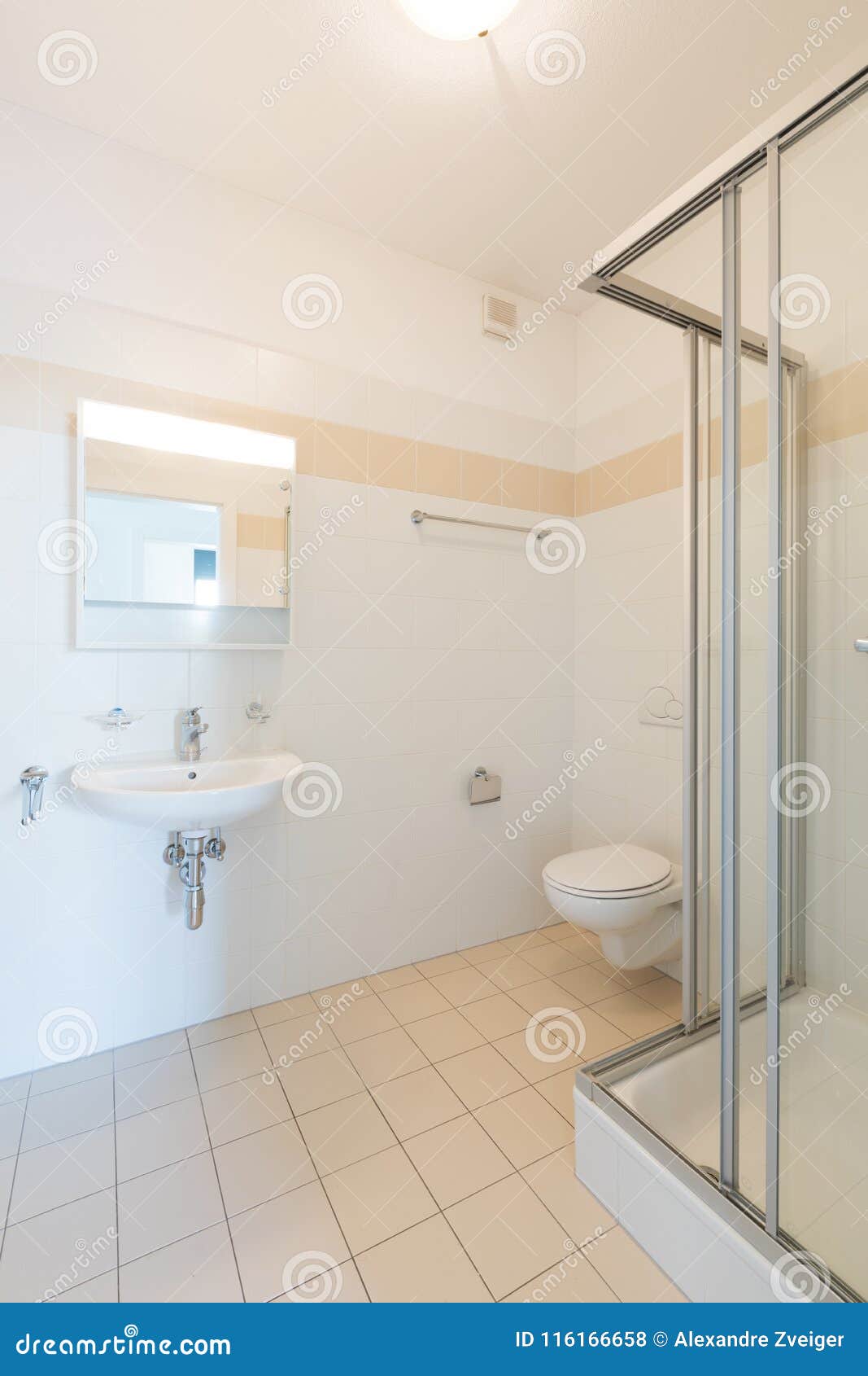Interior of Modern Apartment, Empty Bathroom Stock Photo - Image of ...