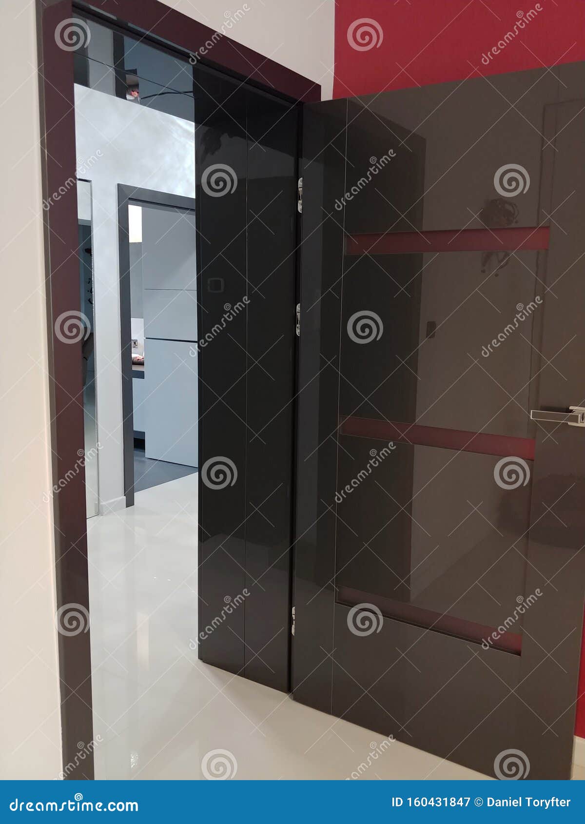Interior of the Modern Apartment Stock Image - Image of door, room ...