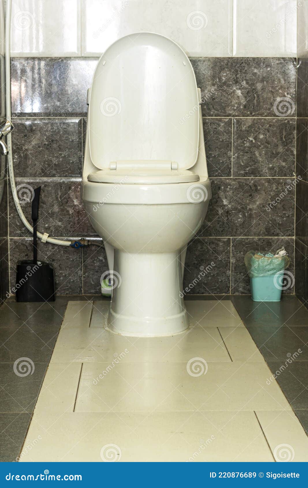 Interior of Modern Bathroom with Open Toilet Bowl Stock Image - Image ...