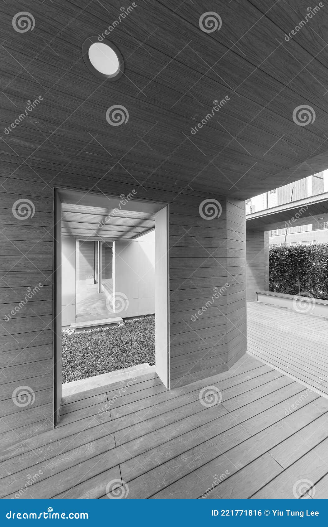 Interior of Modern Building in Wood Stock Photo - Image of room, wall ...