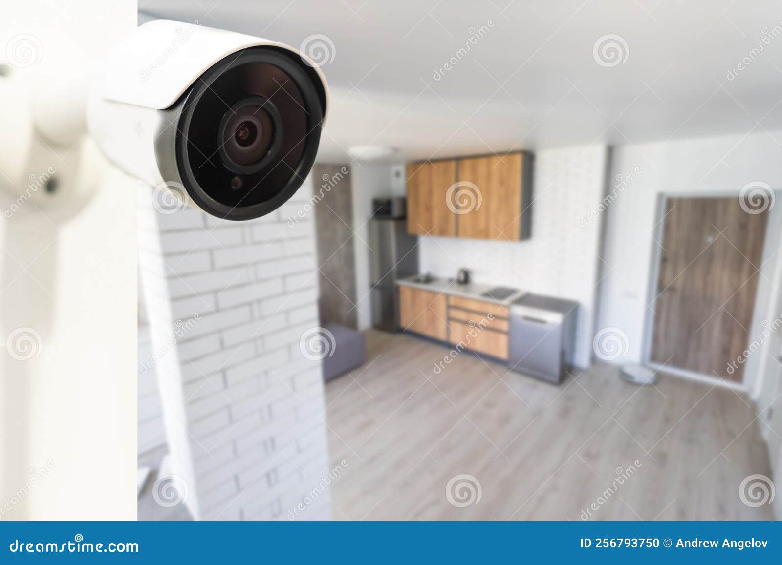 Interior of Modern Empty Living Room with Security Camera in House ...