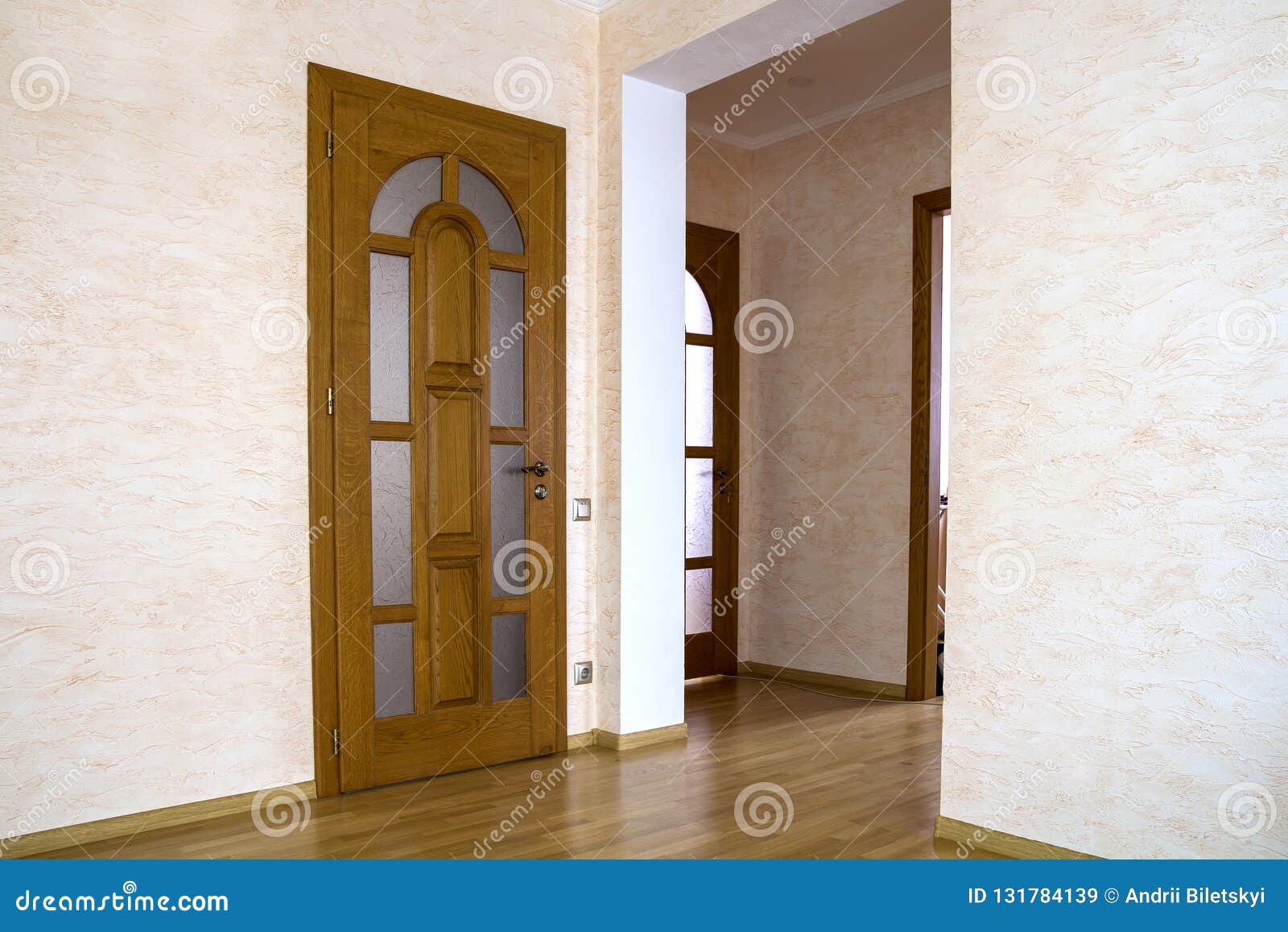 Interior of Modern Expensive House of Apartment with Wooden Doors Stock ...