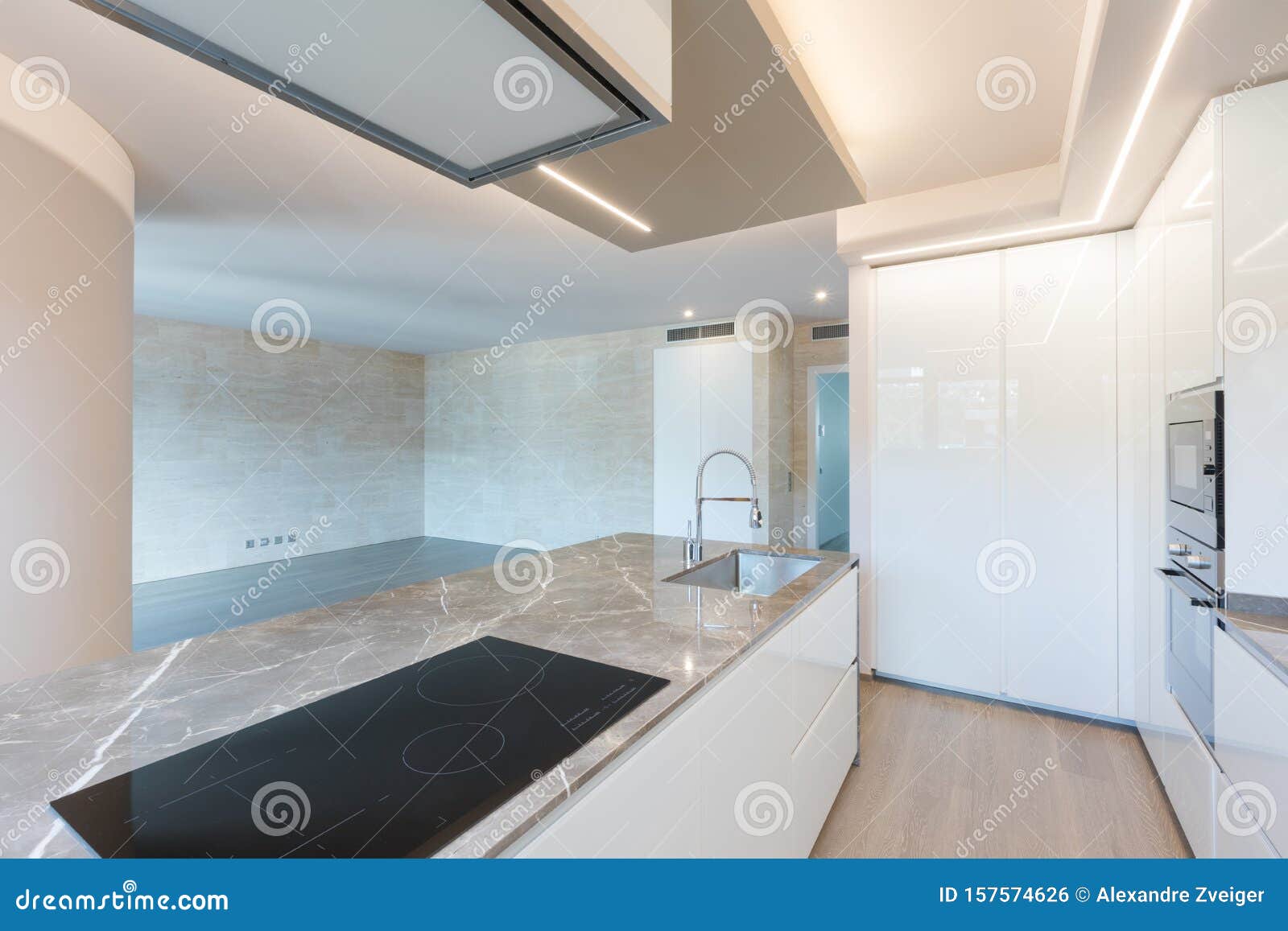 Interior of Modern Luxury Apartment, Empty Attic, Kitchen Open Space ...