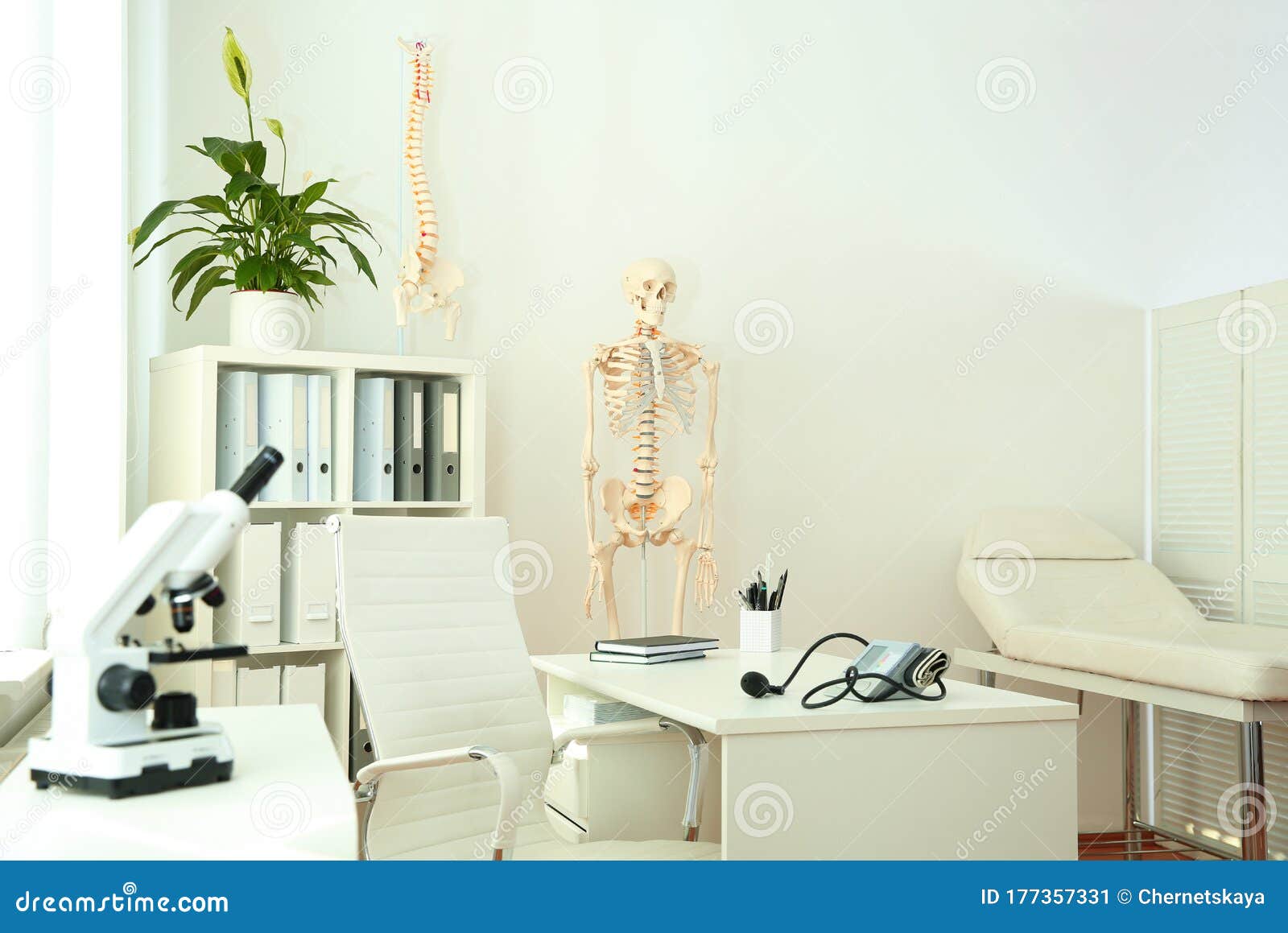 Interior of Medical Office. Doctor`s Workplace Stock Image - Image of ...