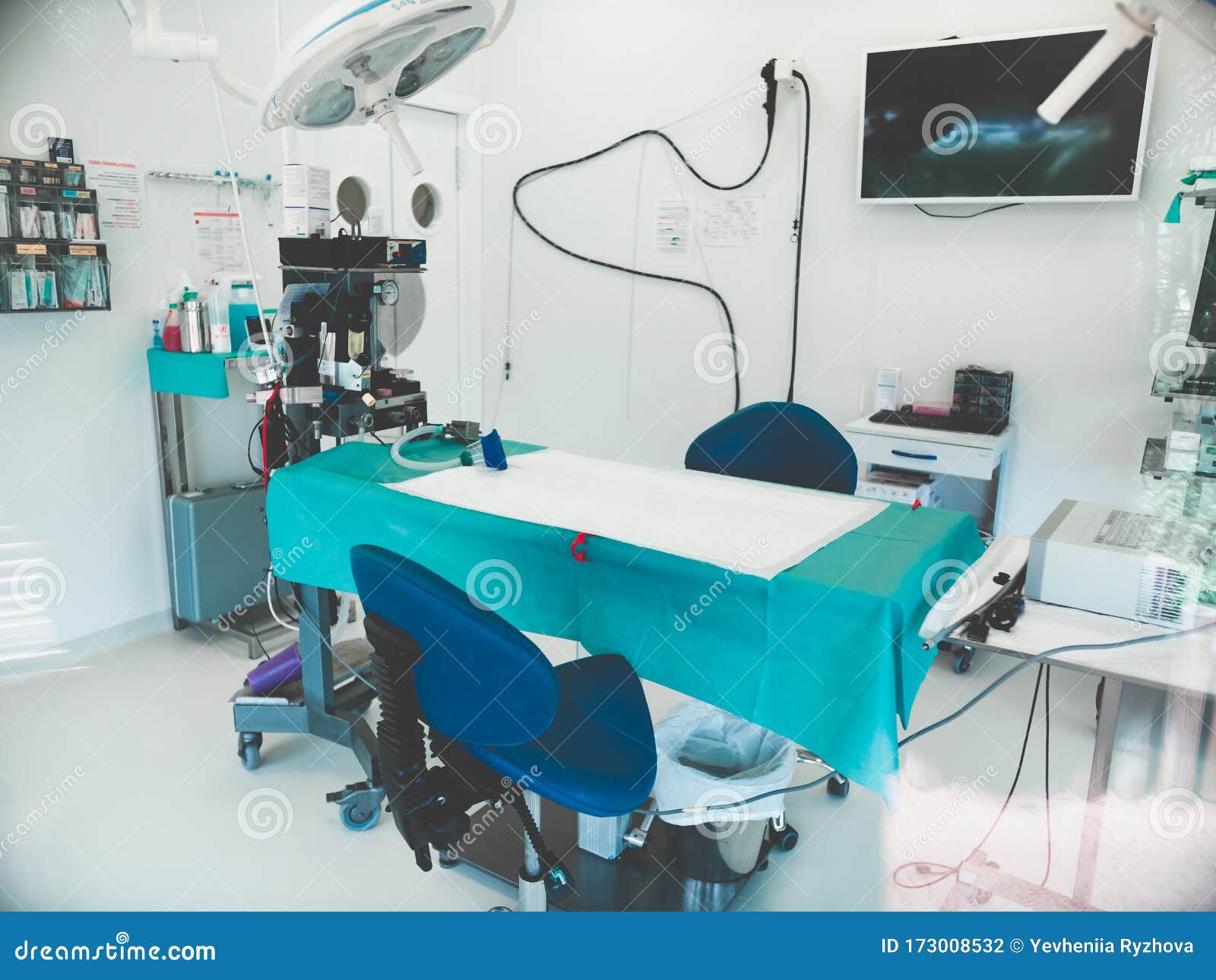 Interior of Modern Operating Room with Special Equipment in Veterinary ...