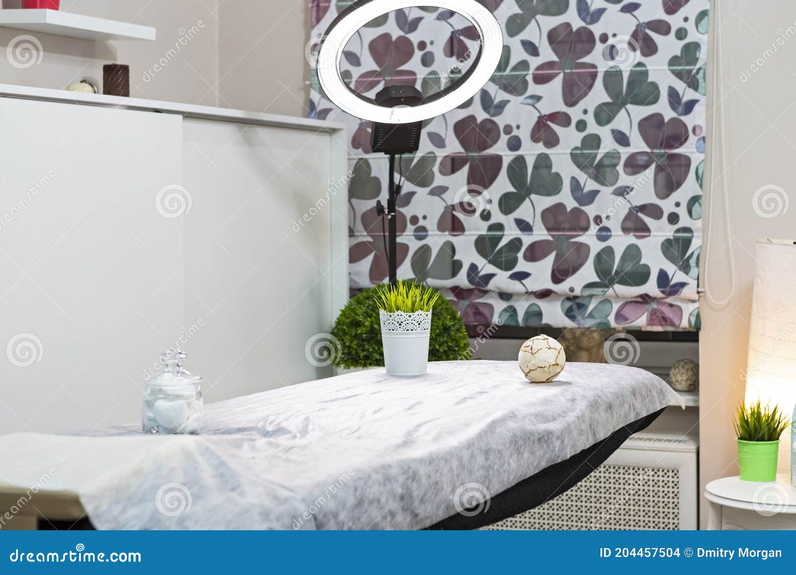 Interior of Modern Professional Beauty and Depilation Salon Stock Photo ...