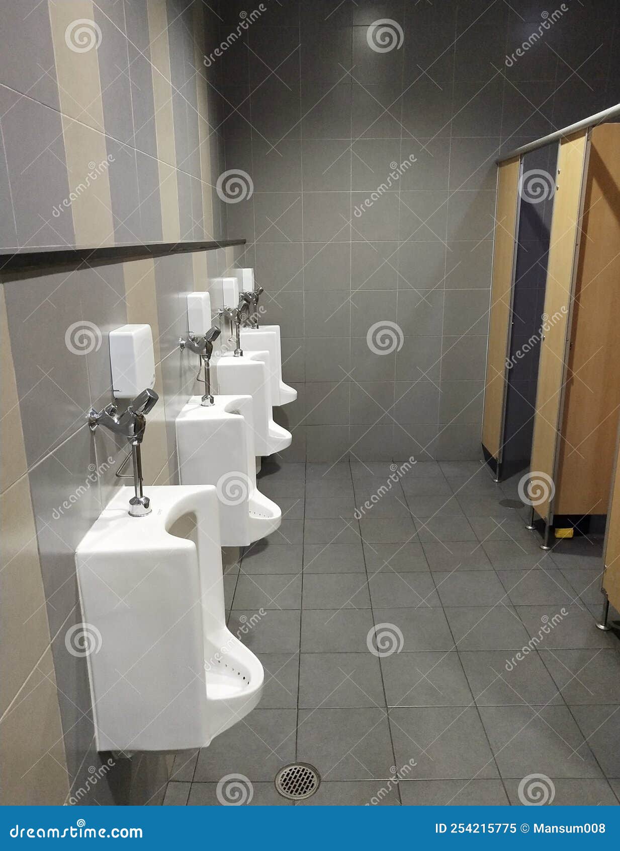 Interior of a Modern Toilet Stock Image - Image of floor, mirror: 254215775
