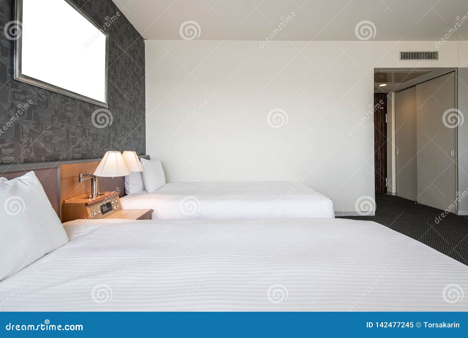 Modern 30 Mm Twin Barrel Anti Aircraft Weapon. Praga Lizard. Stock ...