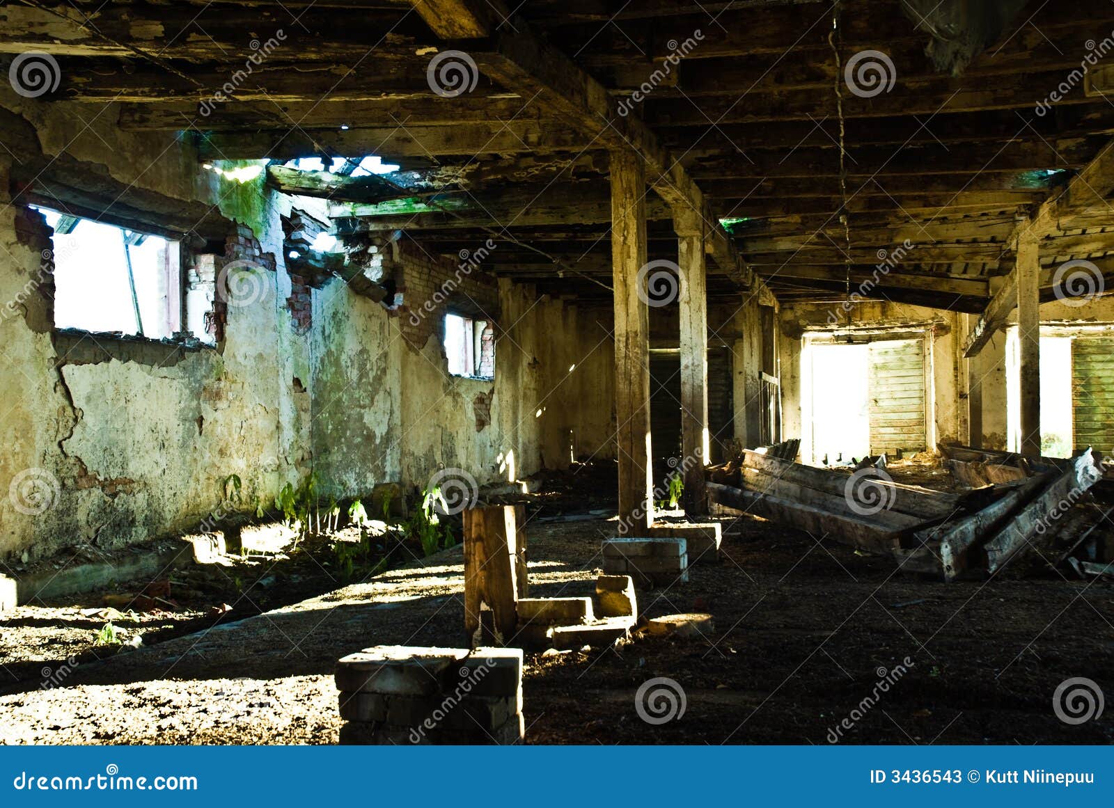 Interior of Neglected Cow Barn Stock Image - Image of deserted ...