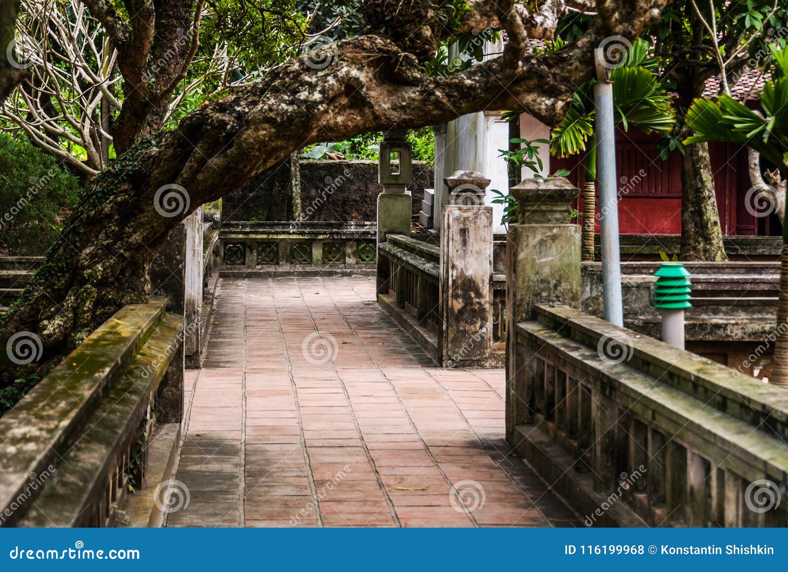 Vietnamese temple backyard stock photo. Image of pagoda - 116199968
