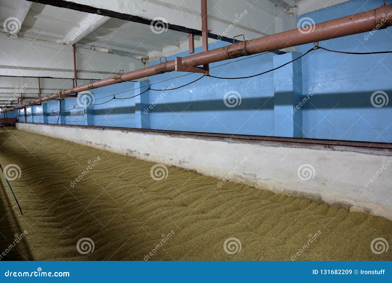 Inside the old malt house stock image. Image of seeds - 131682209