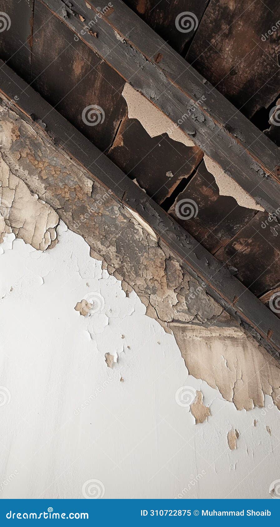 Interior of Old Building Water Damage Causes Cracked Ceiling Stock ...
