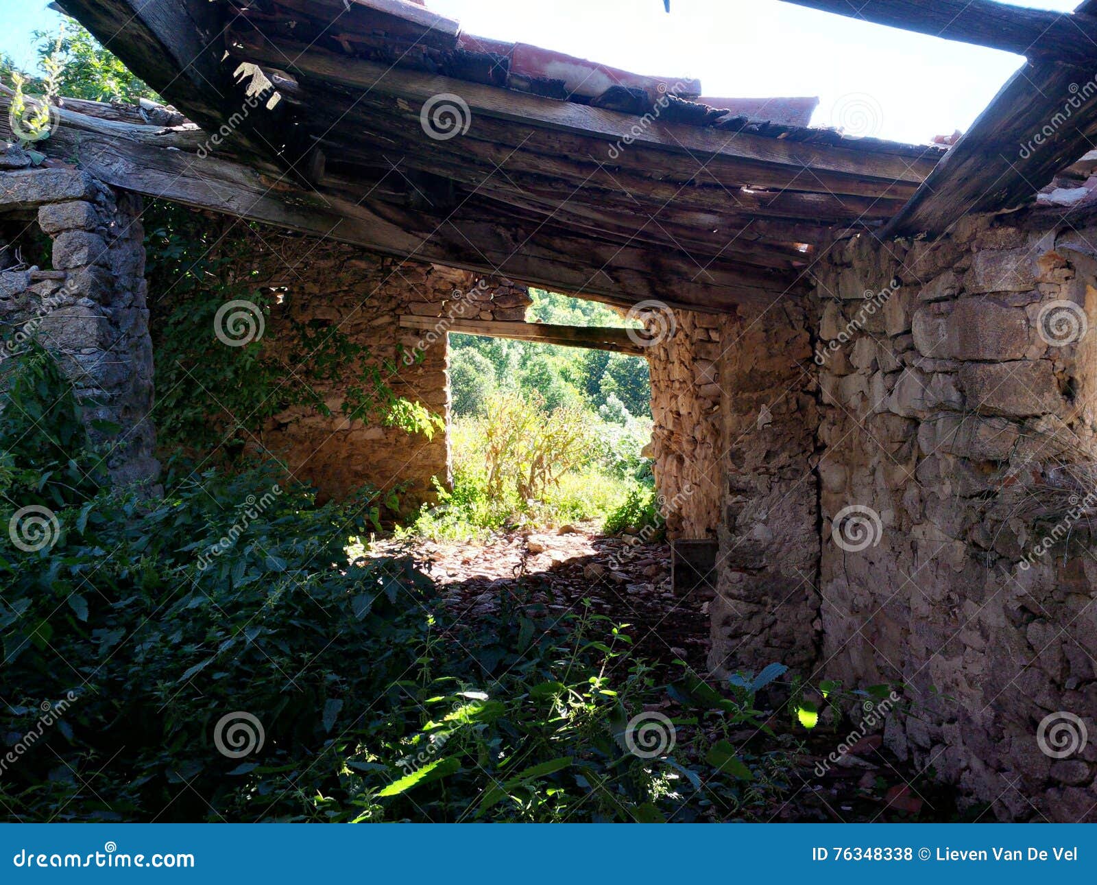 Interior of an old ruin stock photo. Image of dilapidate - 76348338